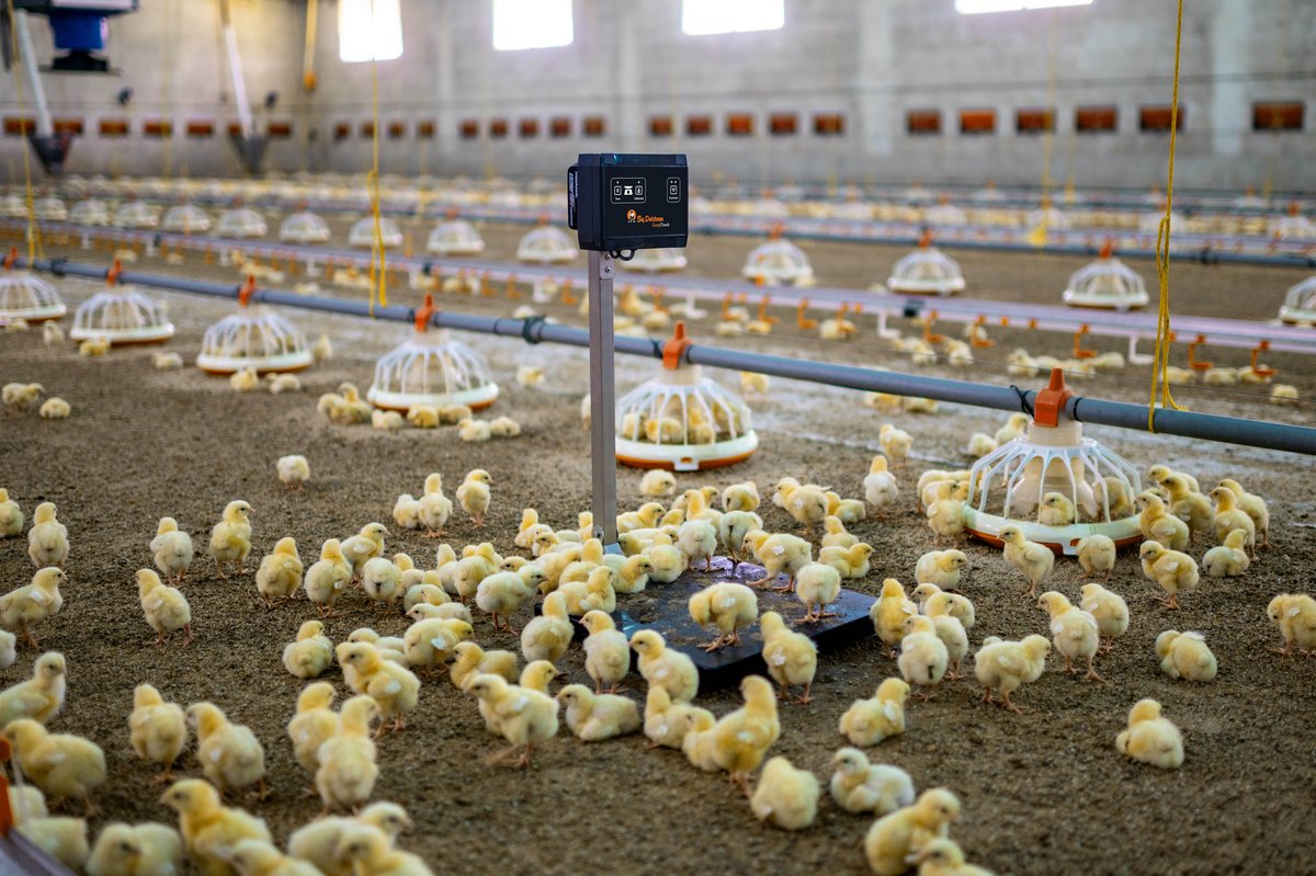 Big Dutchman sets new standards in broiler production with mobile bird ...