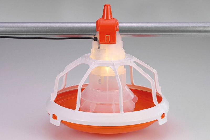 Optimal broiler production - Big Dutchman