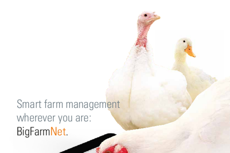 Digitization in the poultry house – and much more - Big Dutchman