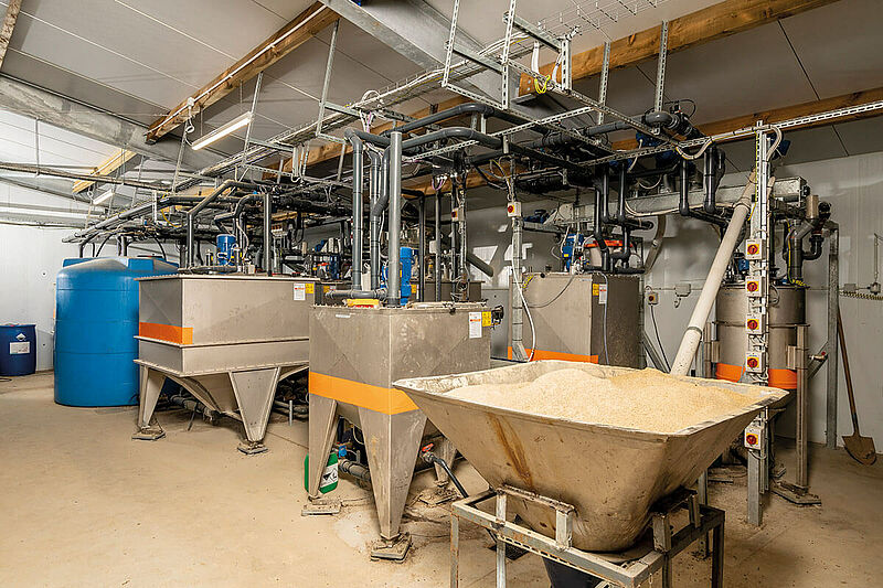 Sow management: the best sow equipment & feeding systems - Big Dutchman