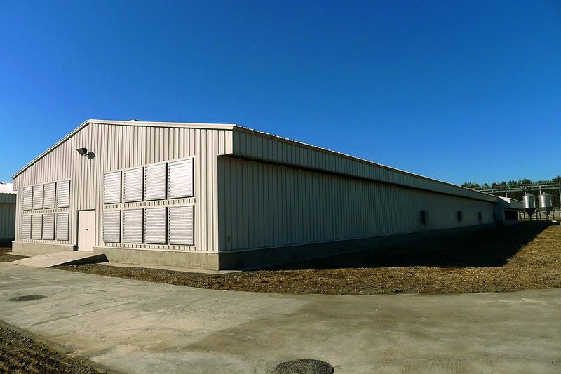 China: 30 layer and 12 rearing houses equipped by Big Dutchman - Big ...