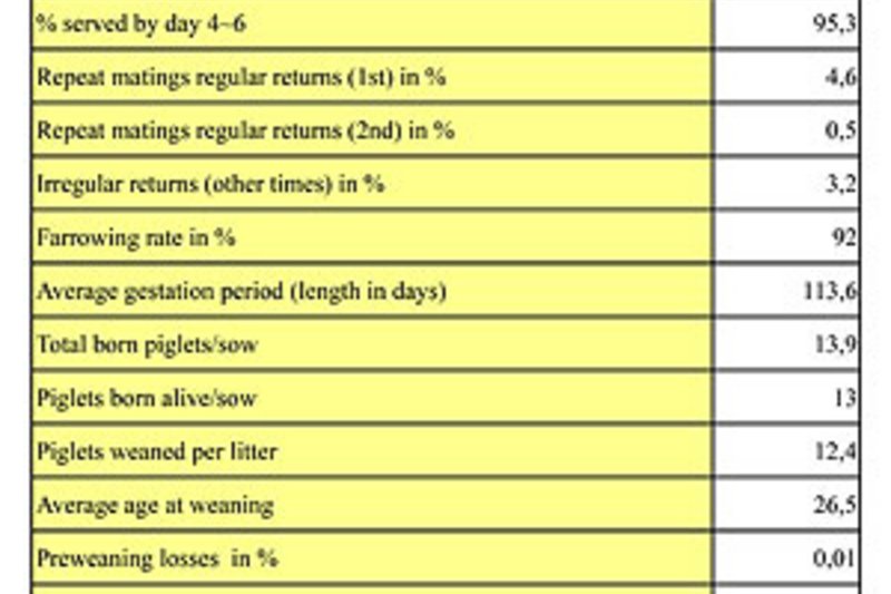 Sow management: Bongdong trumpets stellar production - Big Dutchman
