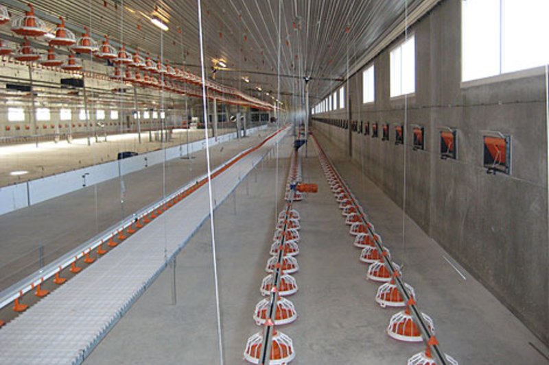 New houses with poultry systems for breeder management - Big Dutchman