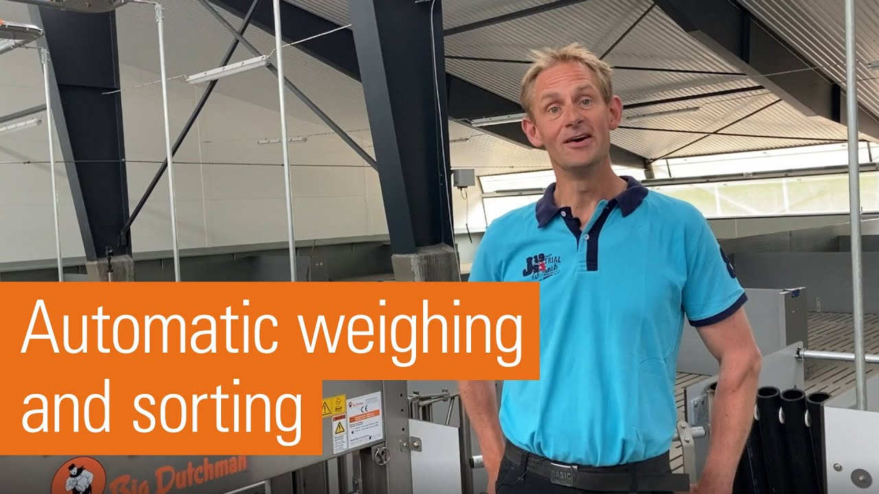 Successful pig finishing with the correct pig equipment & feeding ...