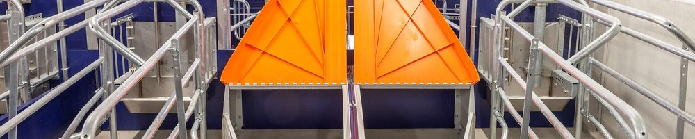 Sow management: the best sow equipment & feeding systems - Big Dutchman