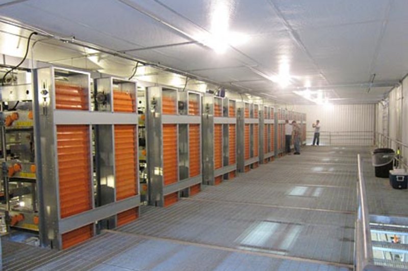 USA: Enriched colony system for housing of 150,000 hens - Big Dutchman