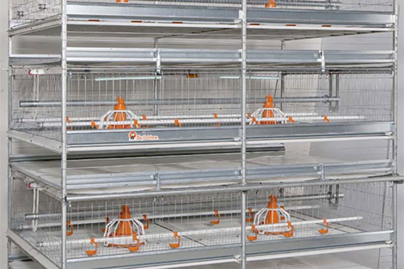 Big Dutchman innovations for successful poultry production - Big Dutchman