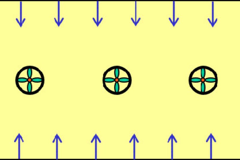 Requirements for ventilation systems in aviary houses - Big Dutchman