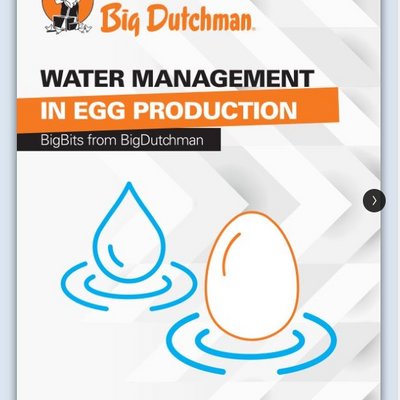 الصفحة الرئيسية - Big Dutchman