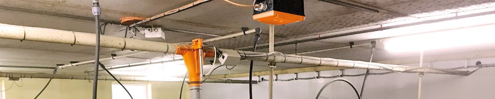 Successful pig finishing with the correct pig equipment & feeding ...