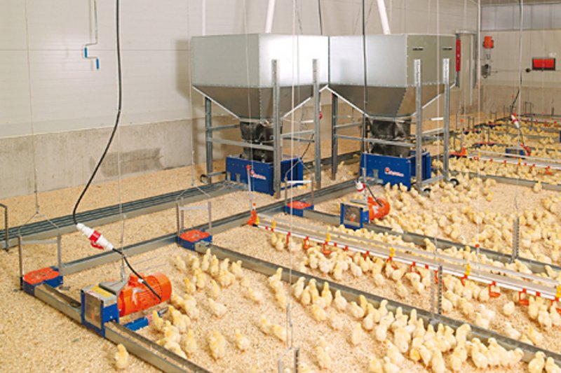 Big Dutchman equips five houses for 84,000 pullets - Big Dutchman