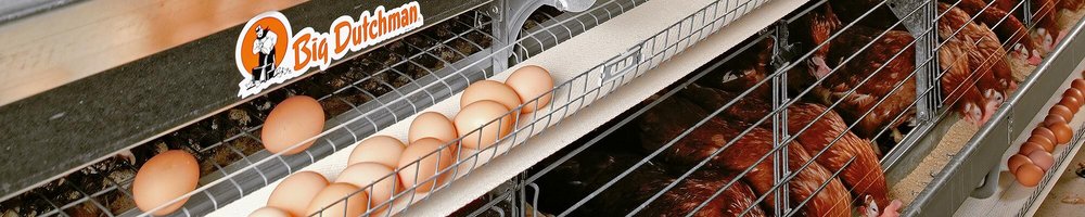 Colony systems for efficient egg production - Big Dutchman