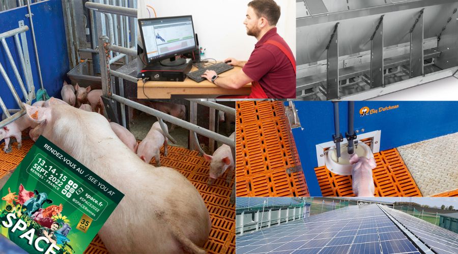 Animal welfare, energy savings, feeding systems and more: Big Dutchman ...