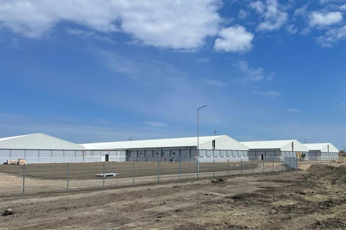 Hungarian company invests heavily in sow management and piglet rearing ...