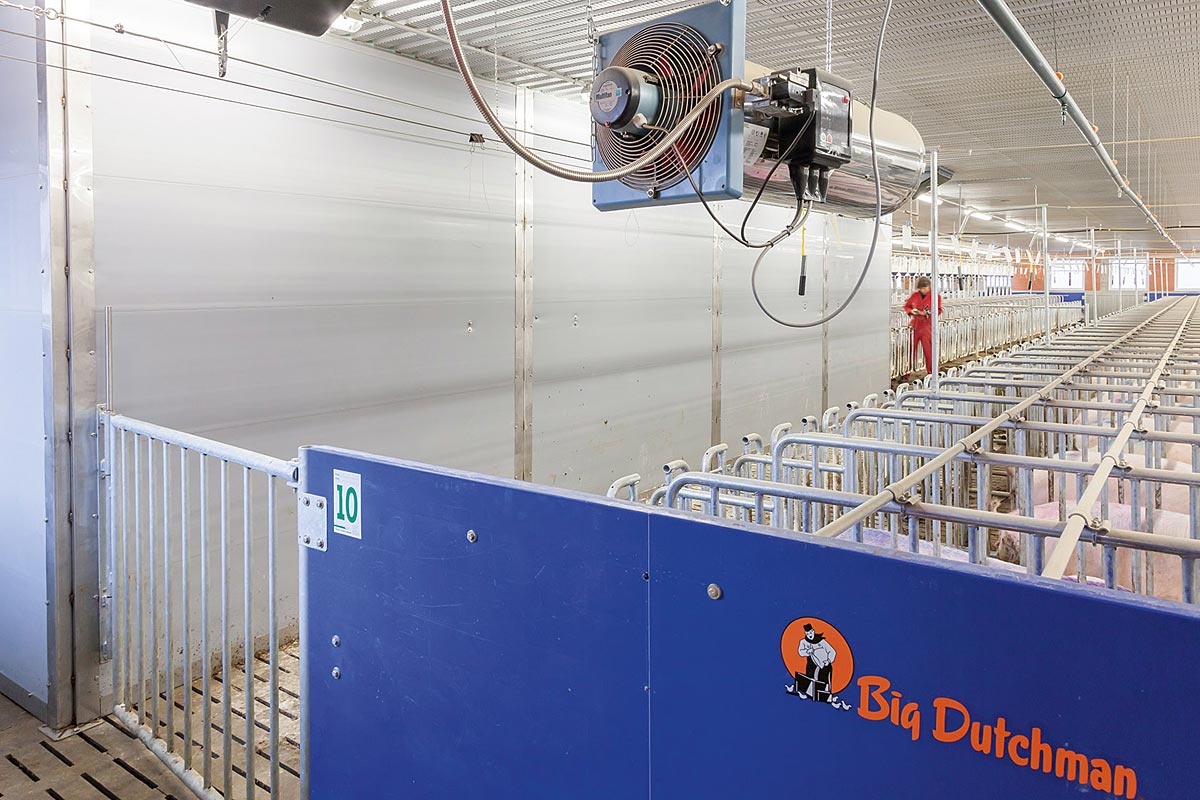 Sistema elettronico di alimentazione “Call-Inn pro"per scrofe in salute ...