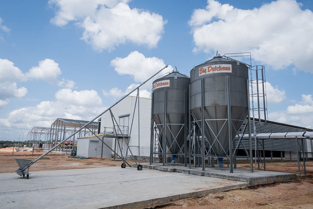 Turnkey solutions from the full-service provider - Big Dutchman