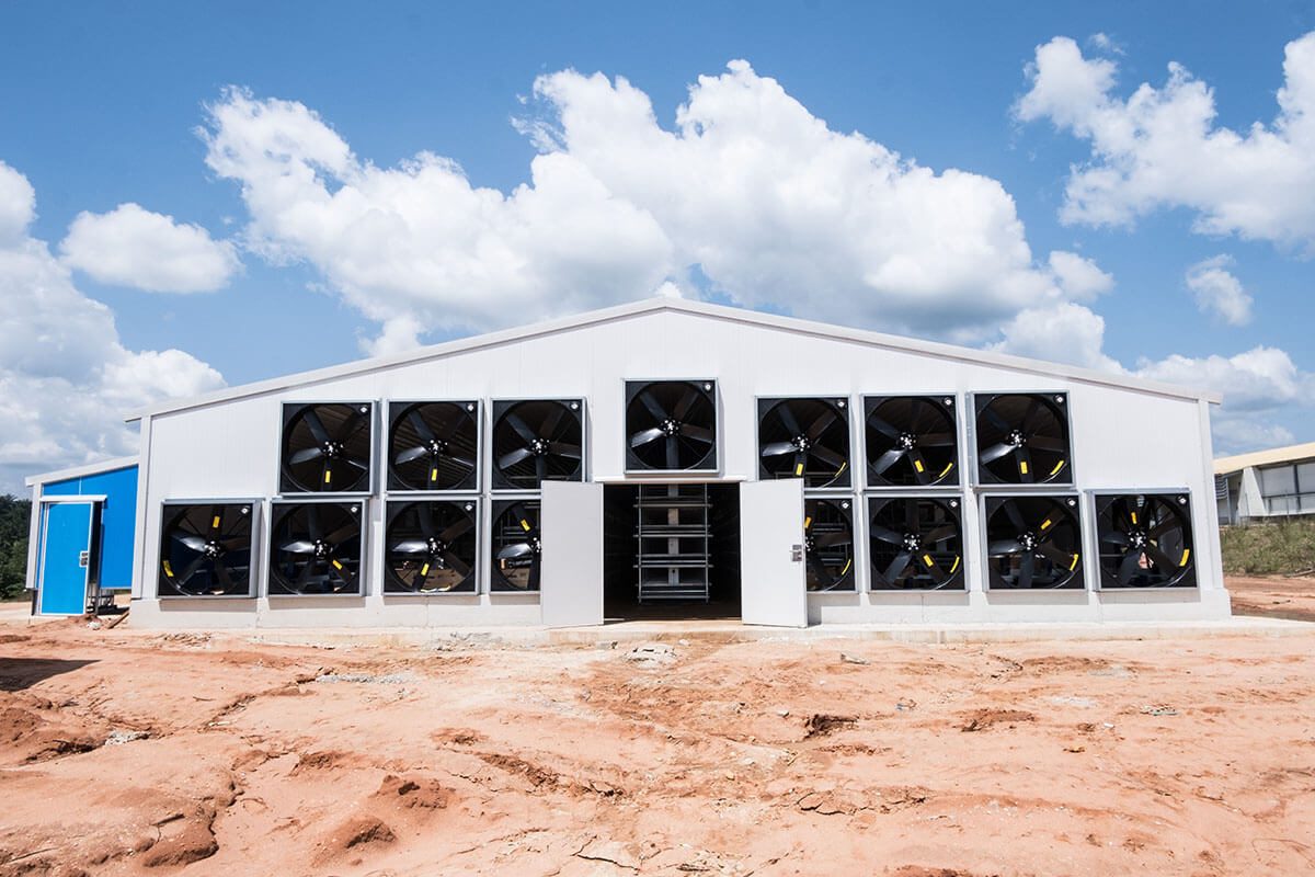 Turnkey solutions from the full-service provider - Big Dutchman