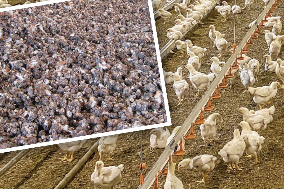 What are farm residues worth? - Big Dutchman