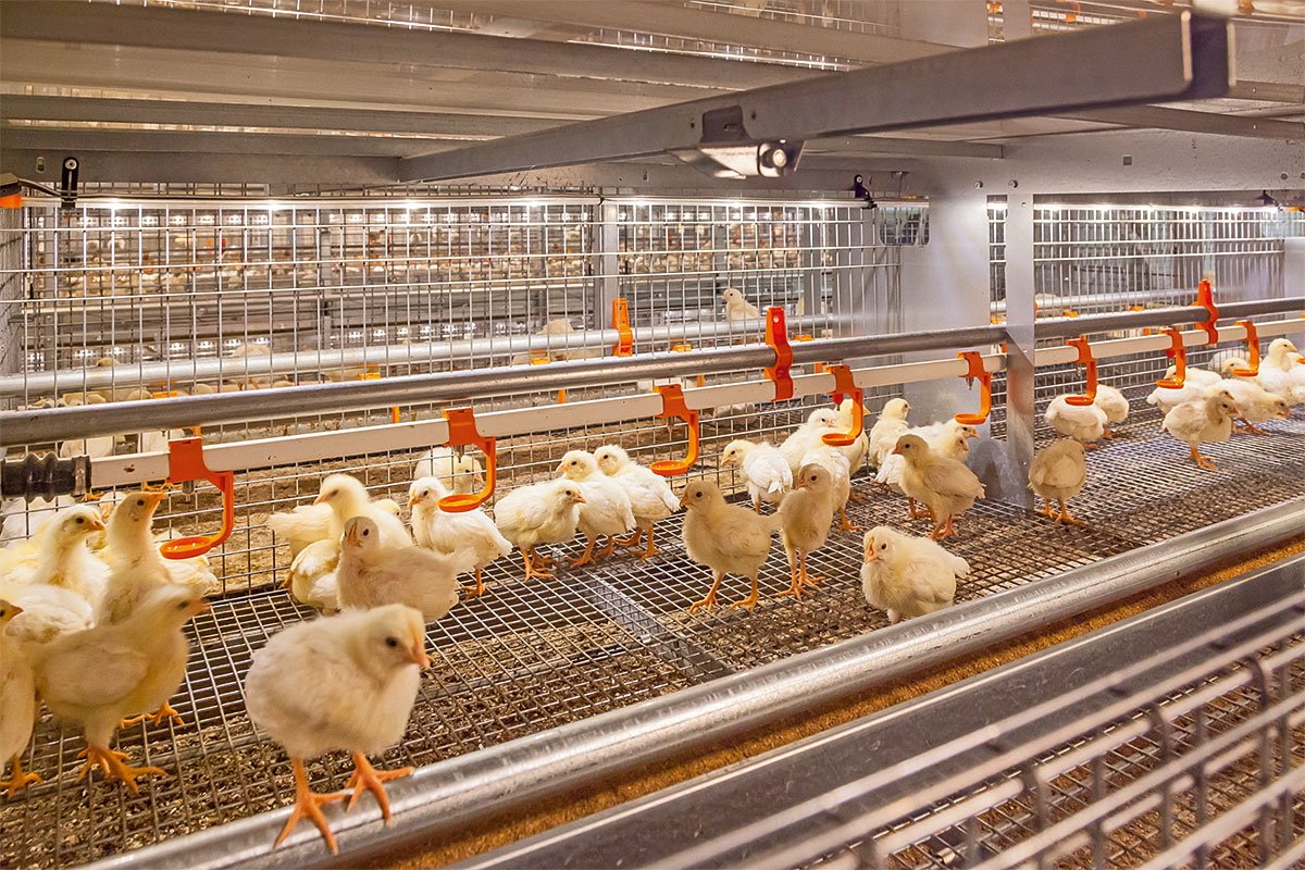 Efficient, flexible, sustainable: clever lighting solutions for modern ...