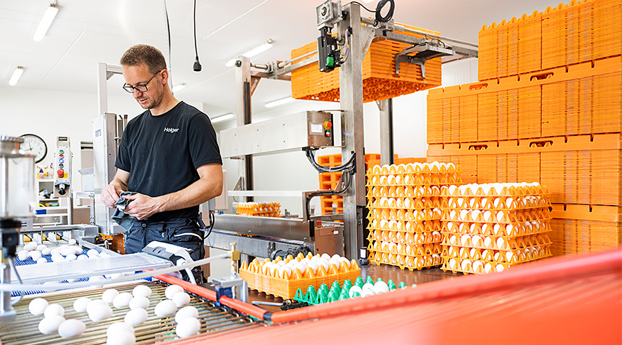 Egg production: newcomer named Germany’s best poultry manager 2022 ...