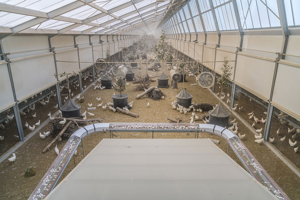 Kipster – probably the world’s most animal-friendly and environmentally ...