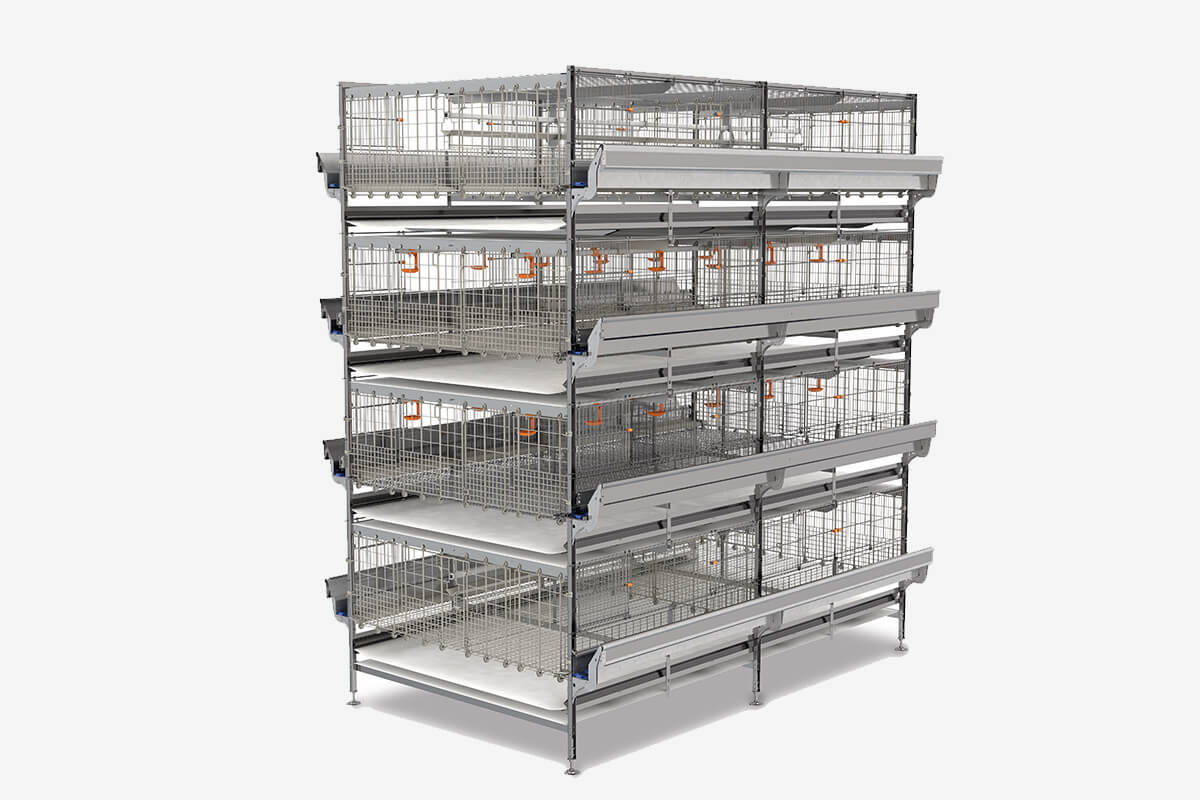 Poultry cages for professional & economic egg production including accessories - Big Dutchman