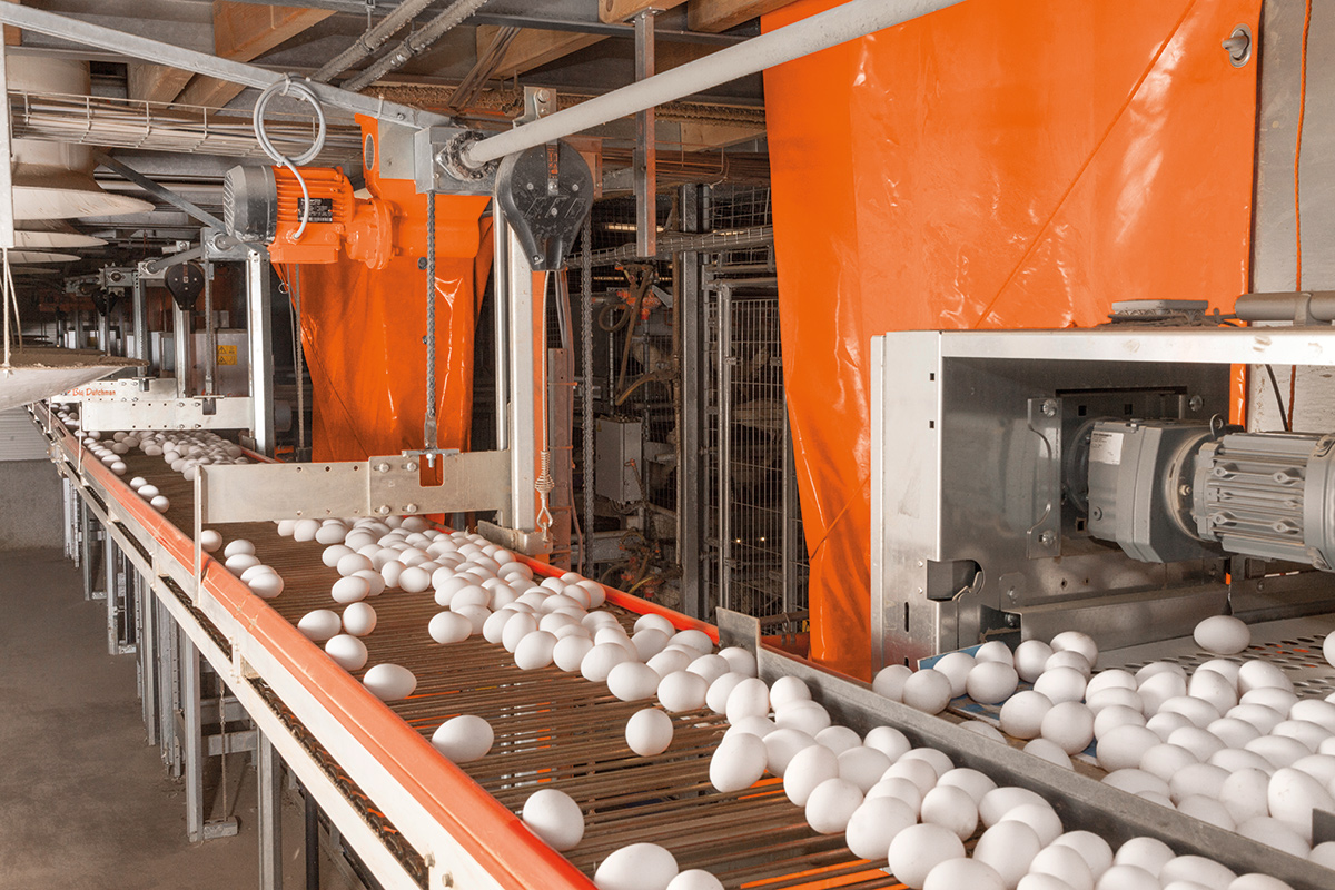 Egg collection systems - Big Dutchman