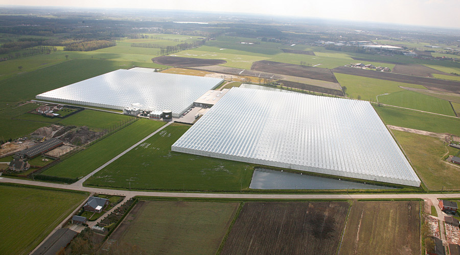 Greenhouse construction: high-tech projects made of glass - Big Dutchman