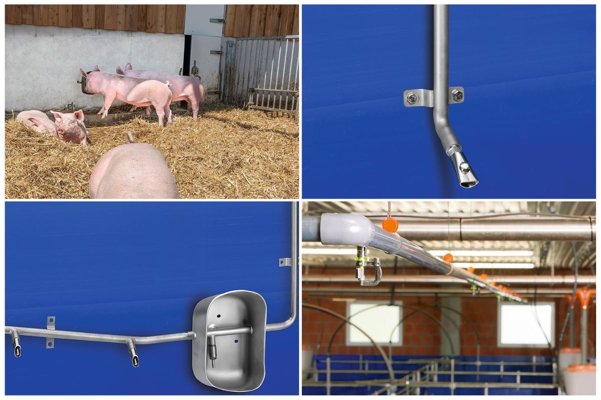 Big Dutchman drinking systems for pig production - Big Dutchman