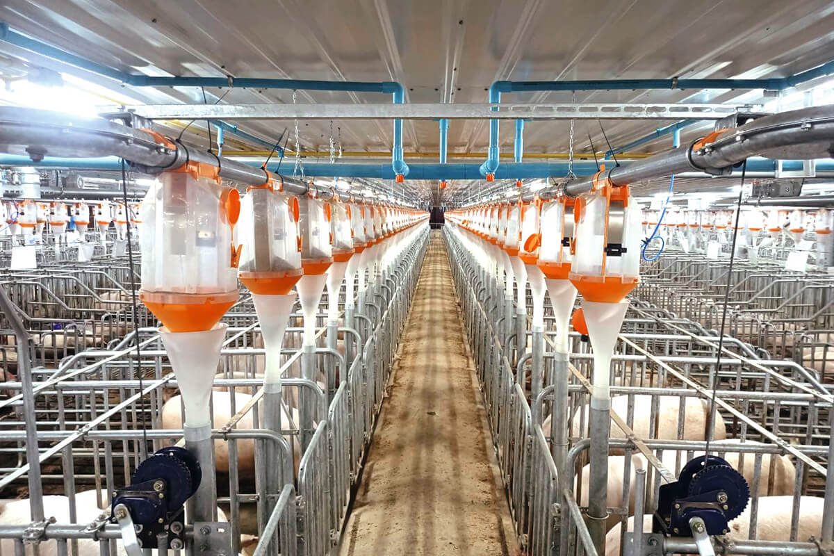 Centro de inseminación - Big Dutchman