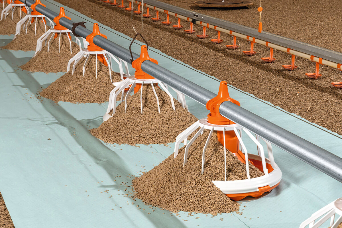 Optimal broiler production - Big Dutchman